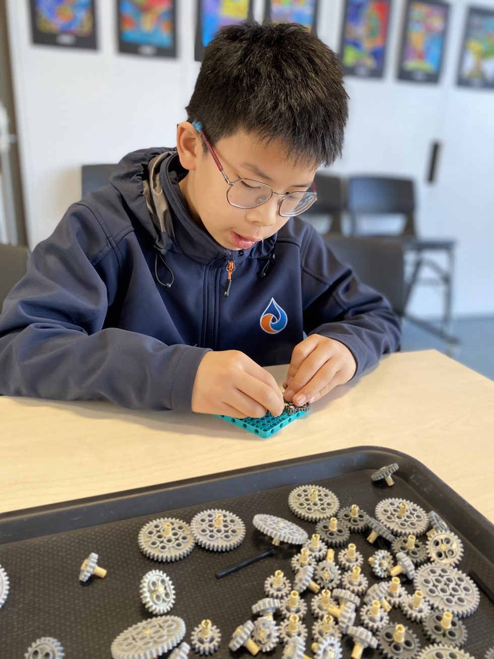 Learning at Home | Ararira Springs Primary School