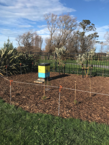 Enviro Education at Ararira Springs Written by Larissa Jay | Ararira ...